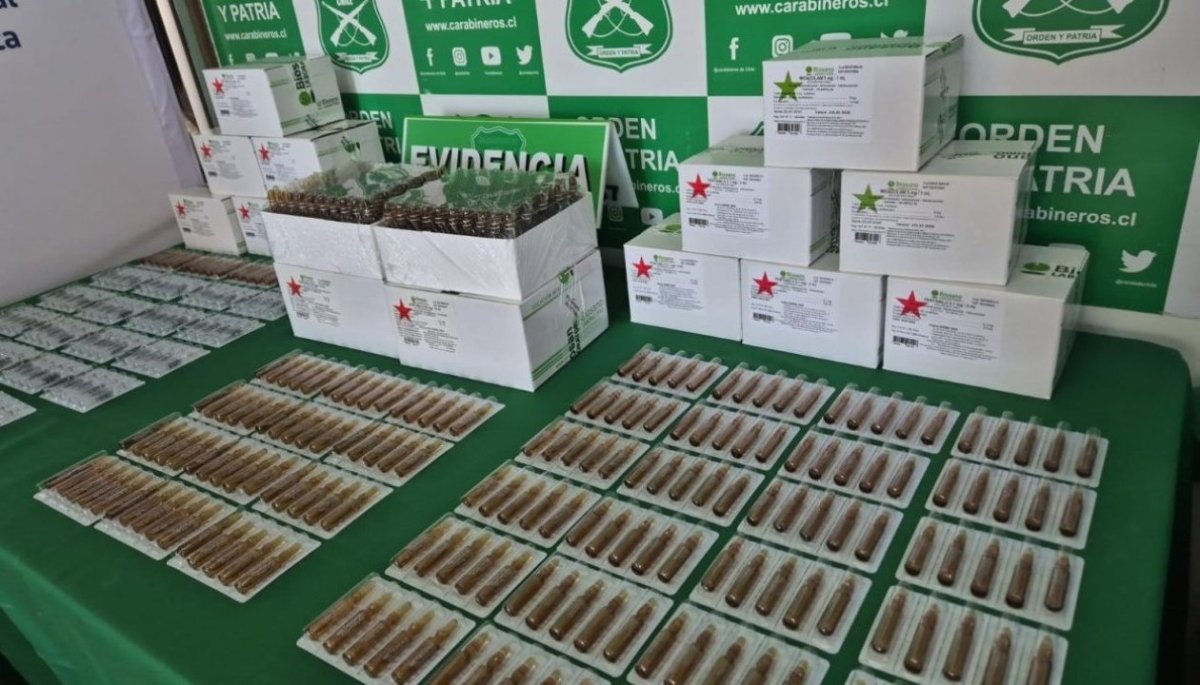 El OS7 de Carabineros incauta “Droga zombie” en Antofagasta | Radio Definición